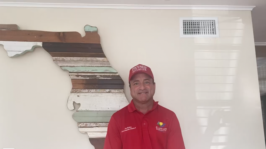 County Commissioner Joe Mullins Shares 2020 Election Ballot - AskFlagler