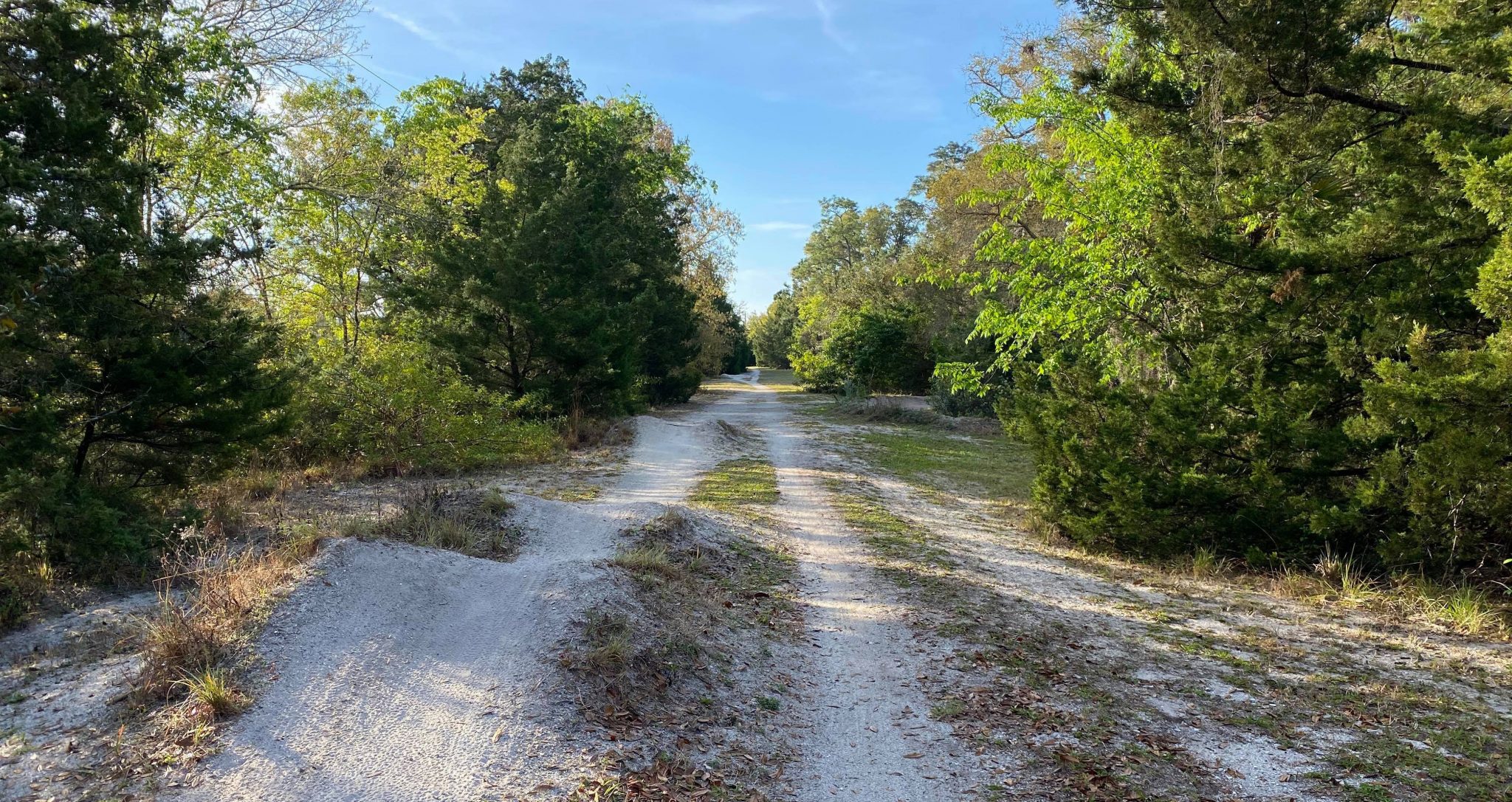 Mountain Bikers Gather From Far and Wide for Graham Swamp Race - AskFlagler