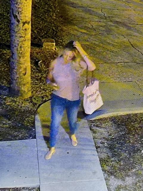 Flagler County Sheriffs Office Searching For Missing Person Askflagler