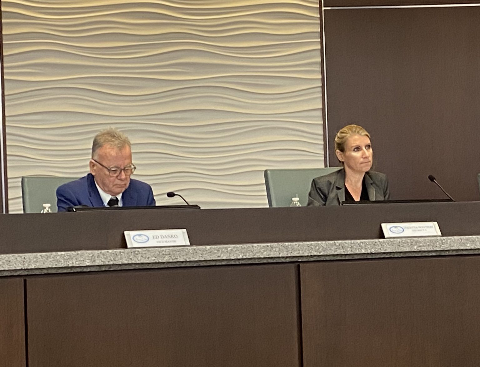 Breaking Down Theresa Carli Pontieri's Rebuke of Ed Danko, and Danko's ...