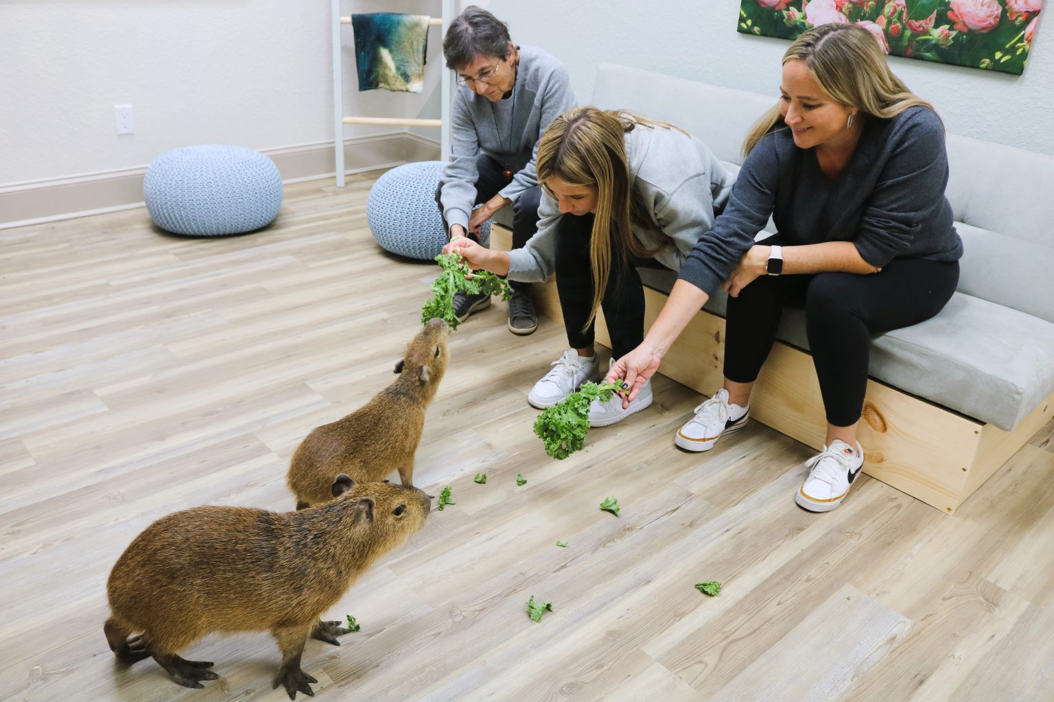 Capybara Cafe Brings Unique Experiences for a Good Cause - AskFlagler