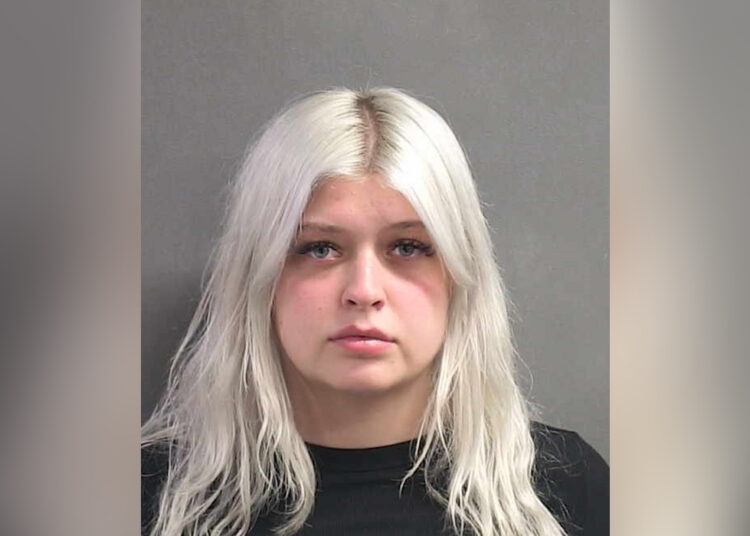 Flagler County & Palm Coast Crime News | Sheriff Reports